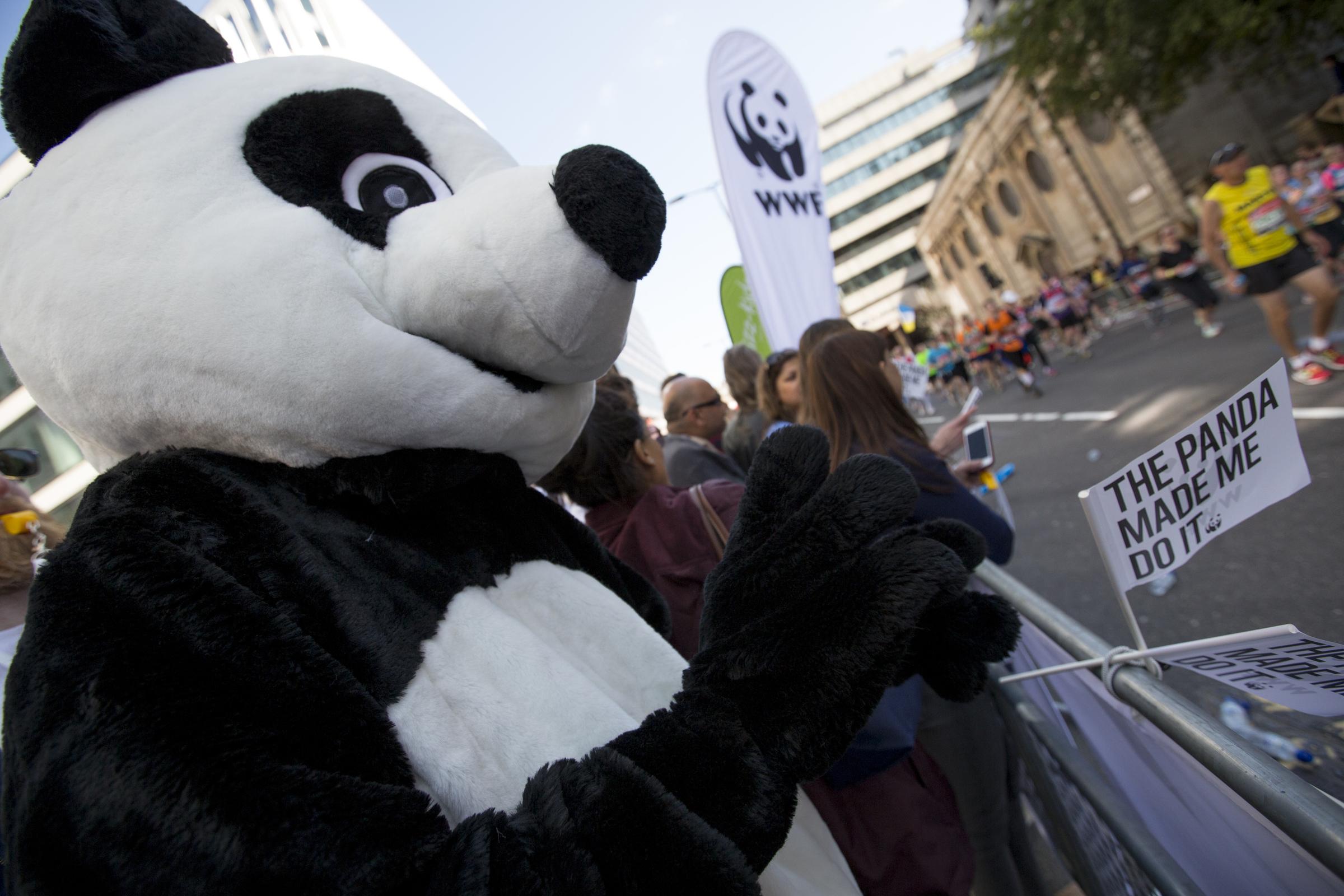 2014 with WWF