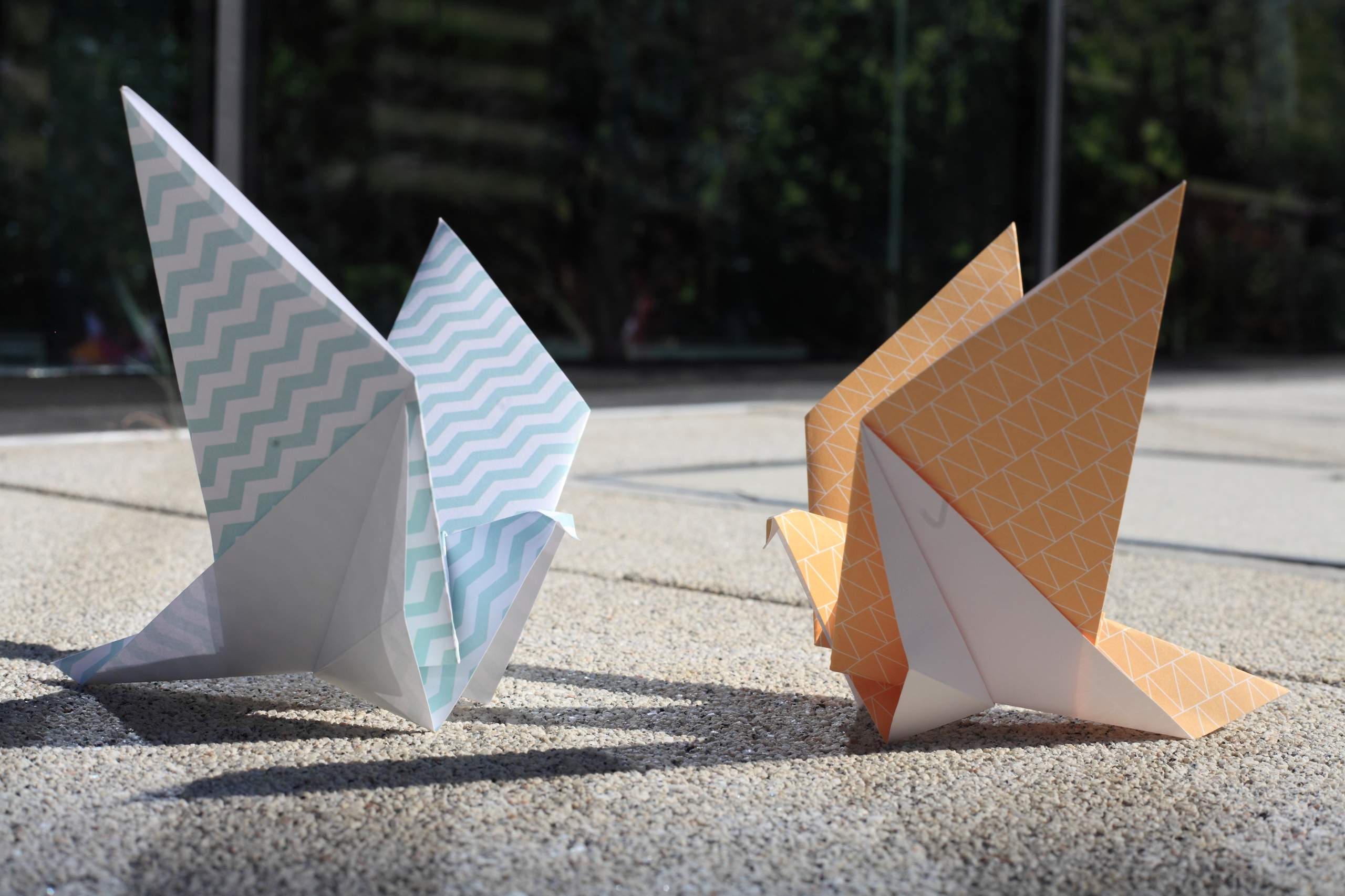 Join the great origami migration