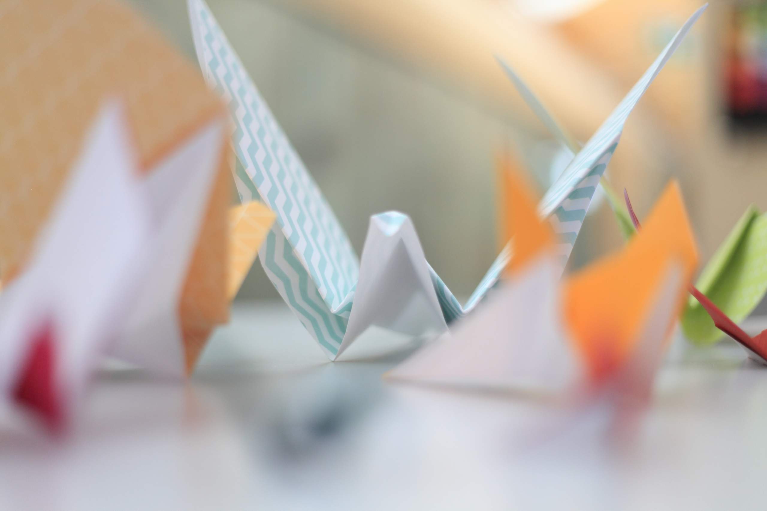 Join the great origami migration